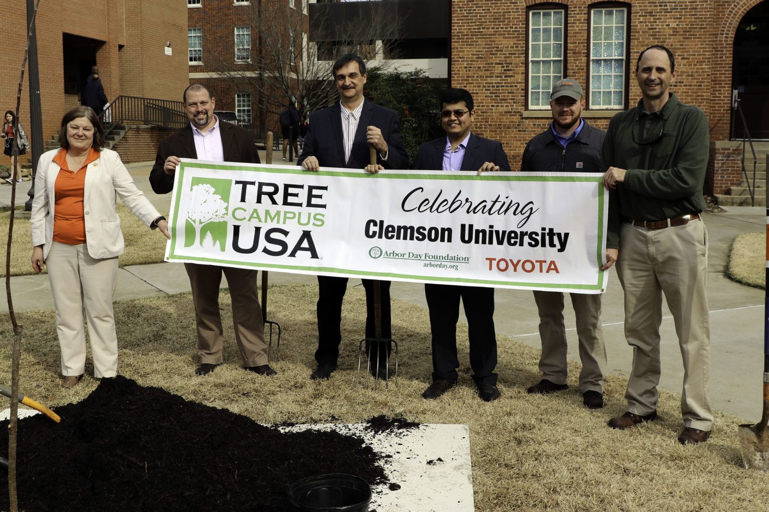 It’s in the ground! Direct descendant of Newton’s famous apple tree ...
