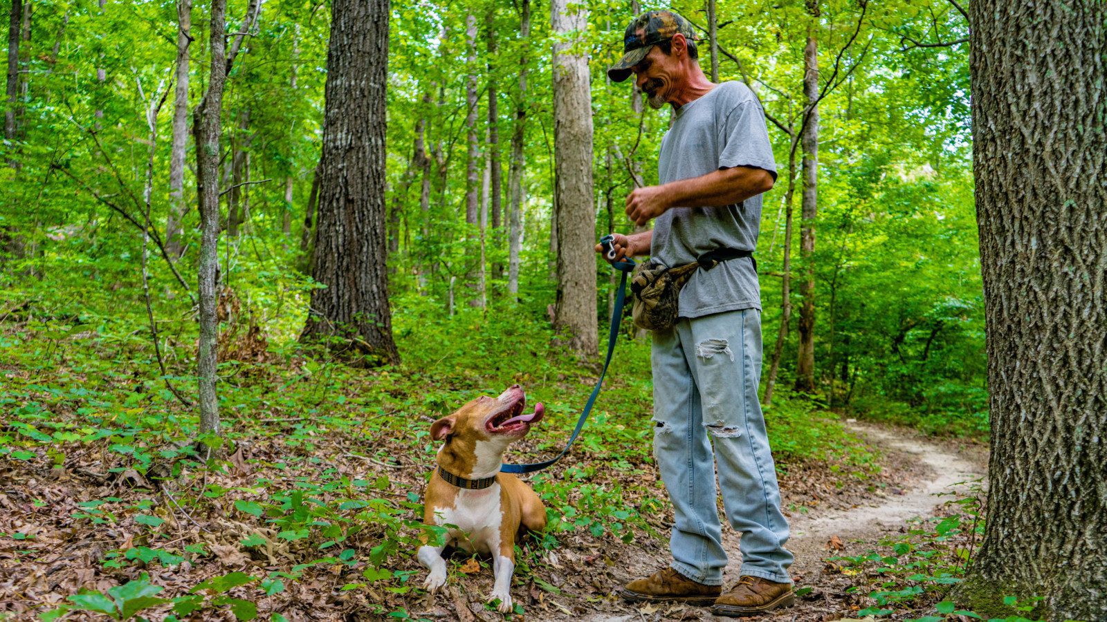 Faculty, students research use, management of 17,000-acre Clemson ...