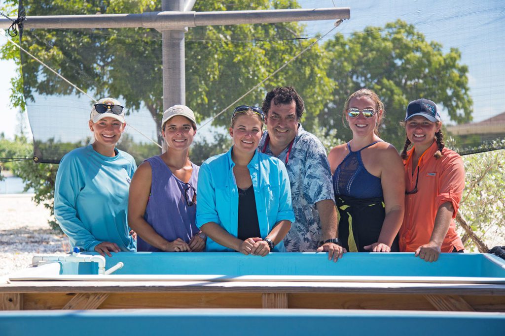 ‘Coral Crusader’ article wins silver medal in international contest ...