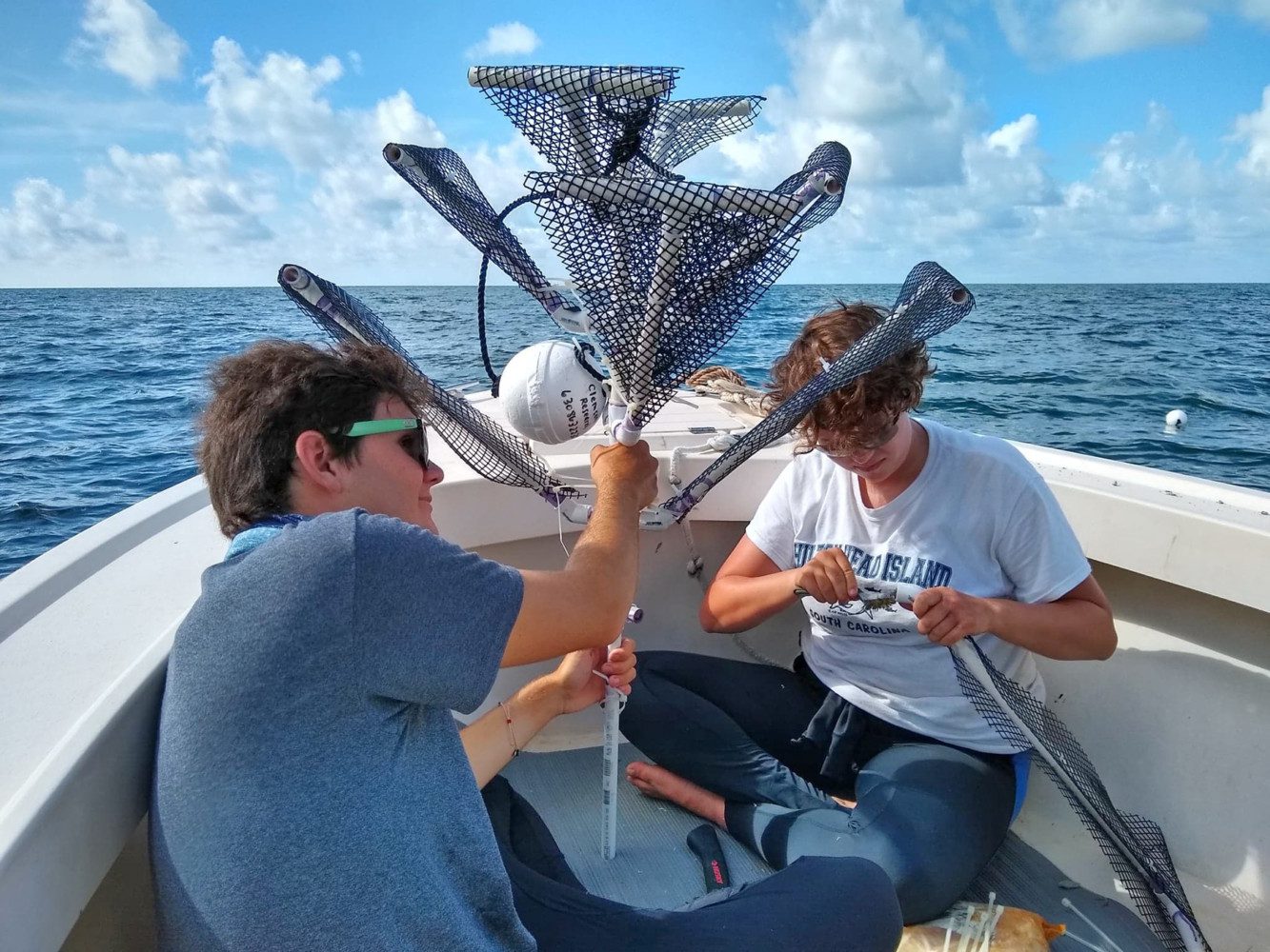 The twists and turns of science research | Clemson News