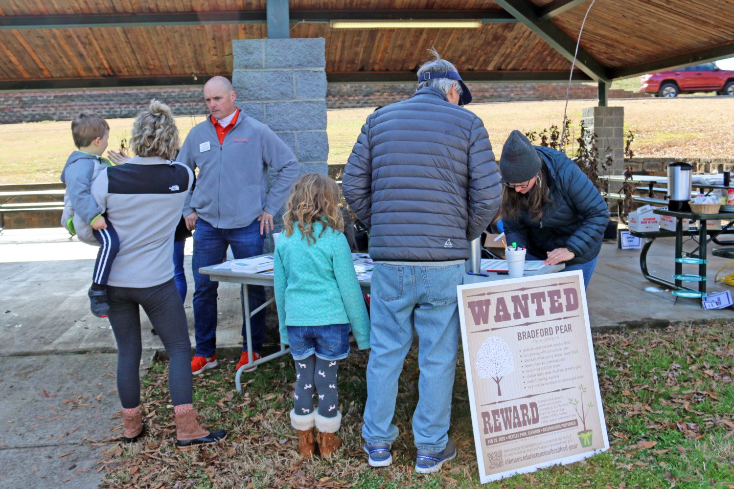 Clemson Extension event doles out free trees, dirt on Bradford pears ...