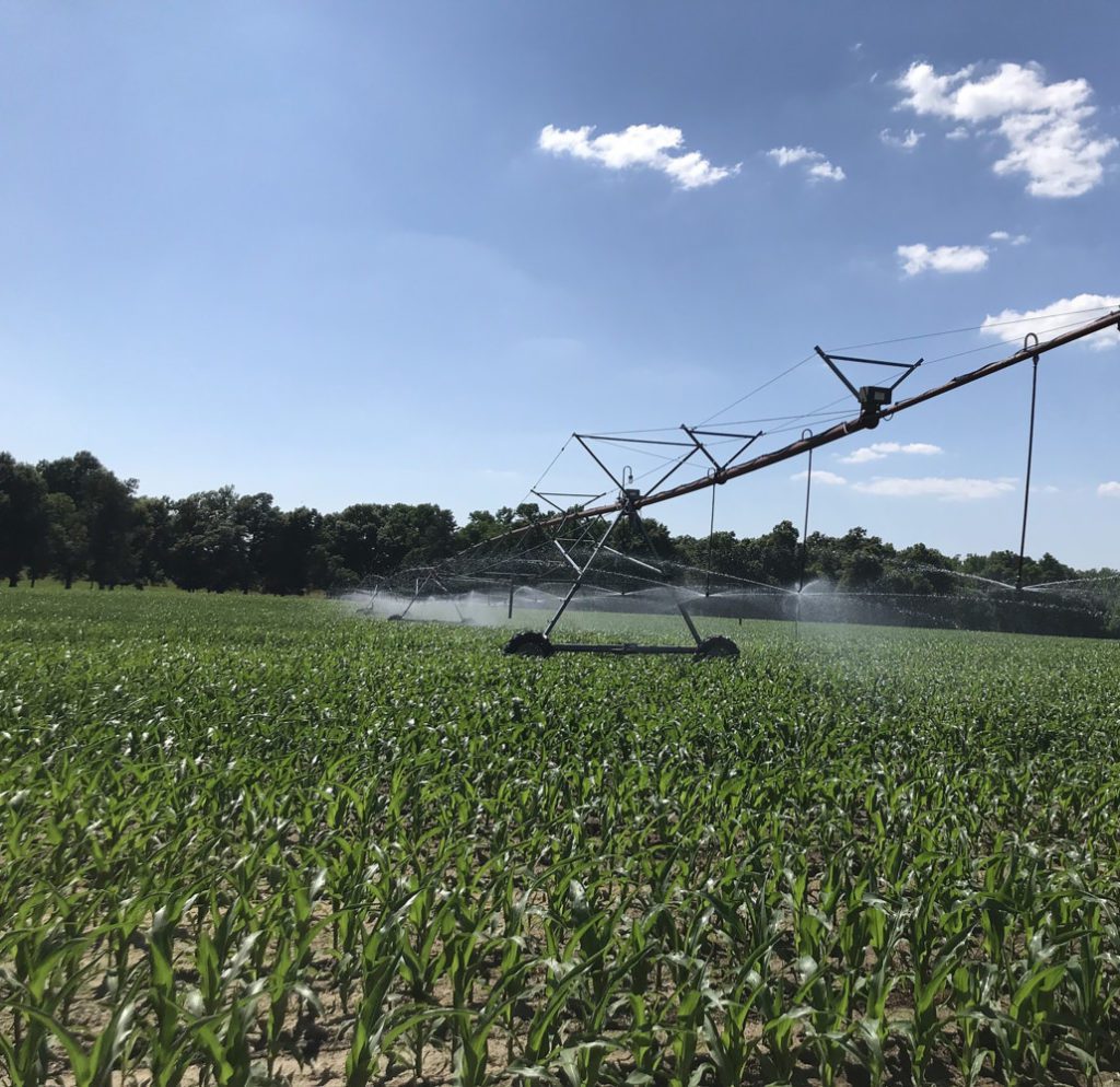 Clemson intelligent irrigation system: Increase profits, protect ...