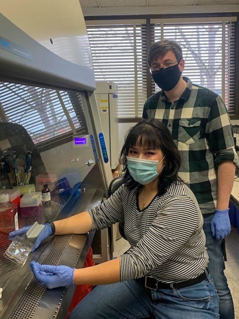 Clemson researcher receives grant to study the effects of arsenic on ...