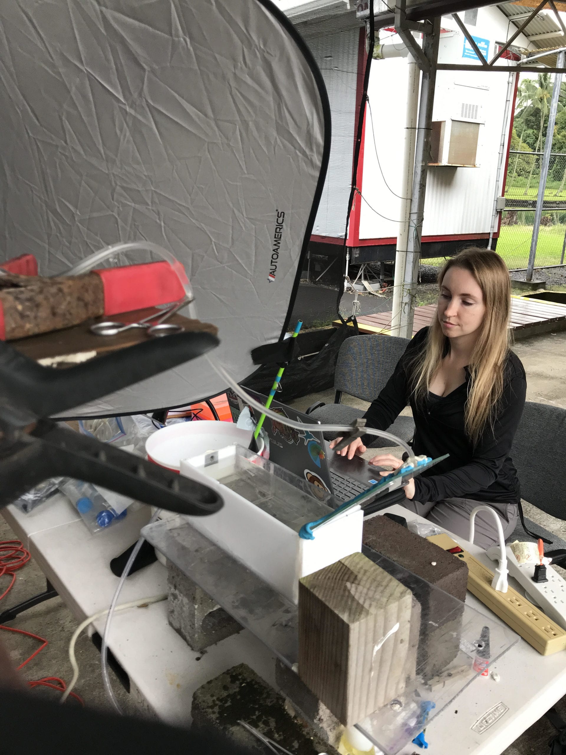 What waterfall climbing fish tell us about adaptation, survival and ...