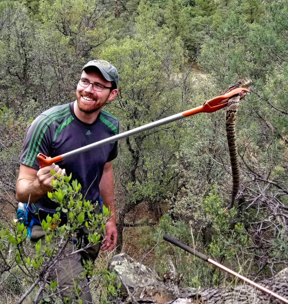 Clemson researchers find snake venom complexity is driven by prey diet ...