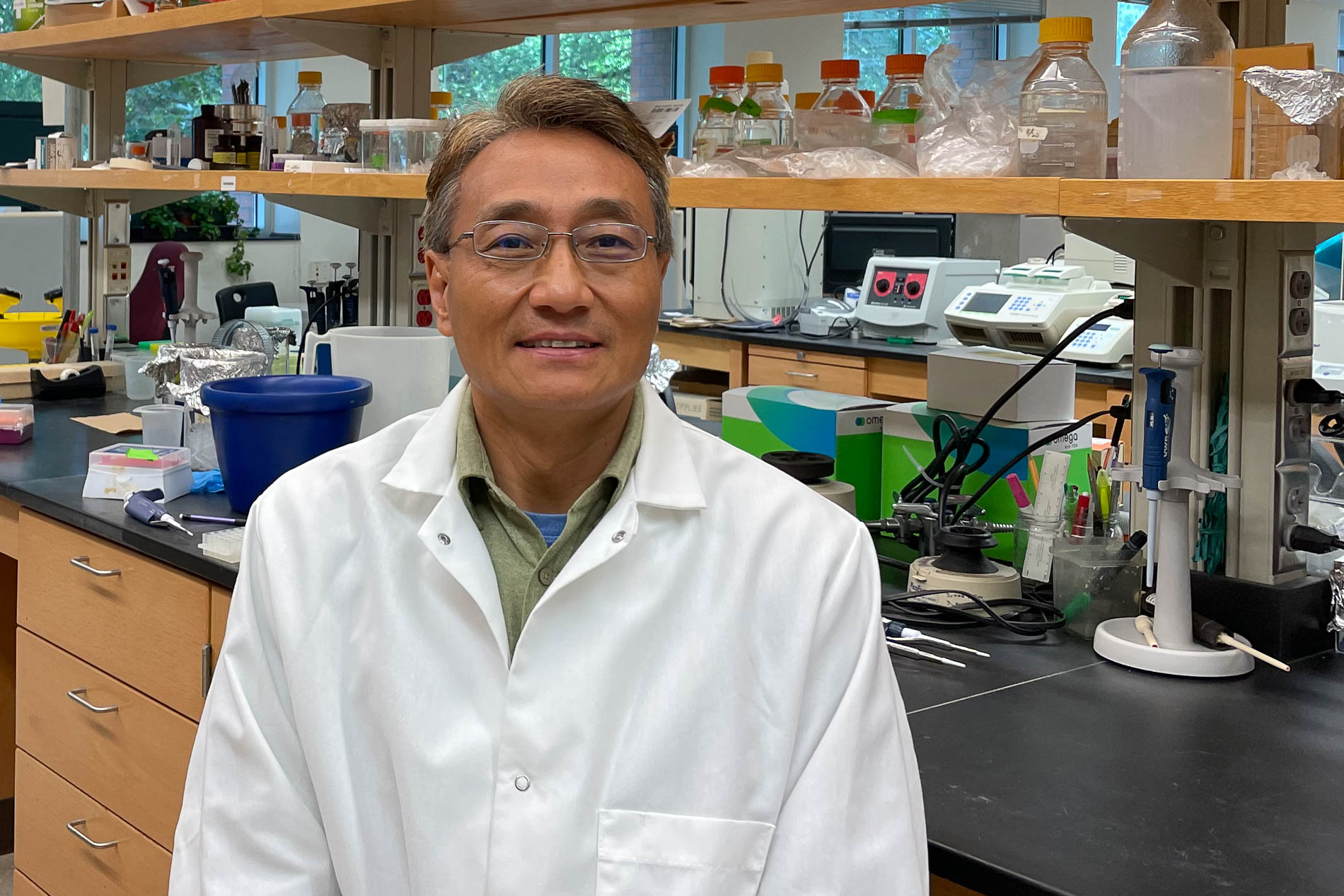 Perennial grass research means lusher lawns may be in the future ...