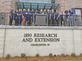 Clemson Cooperative Extension | College of Agriculture, Forestry and ...
