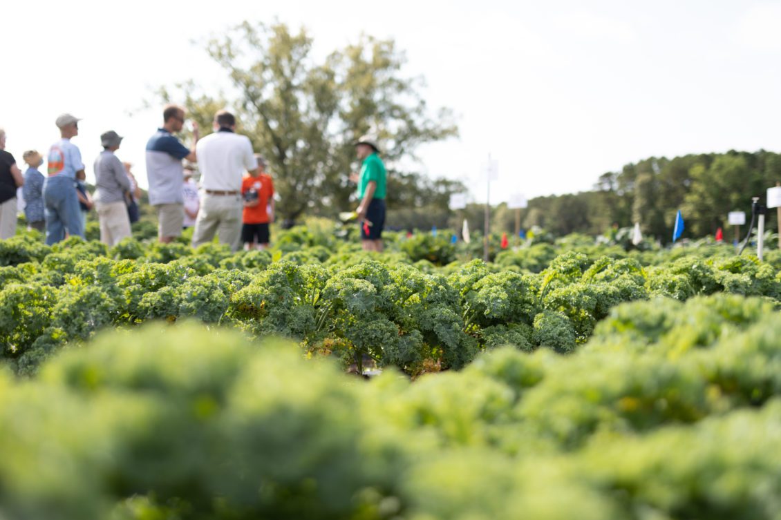 Digging into South Carolina’s most pressing problems, Clemson PSA is ...