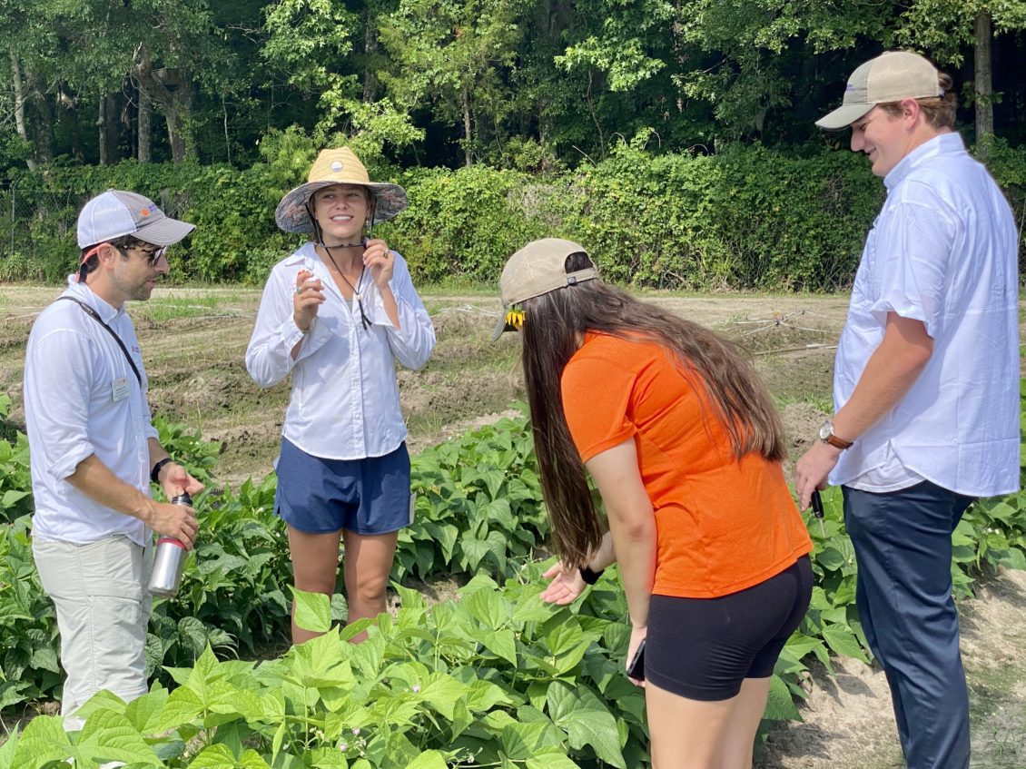 Clemson’s Coastal REC working to foster sustainability for Lowcountry ...