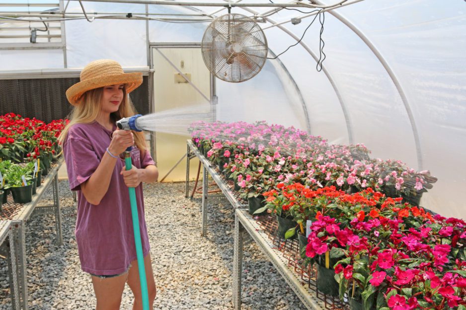 Graduating senior set to become ‘world-traveling gardener’ | Clemson News