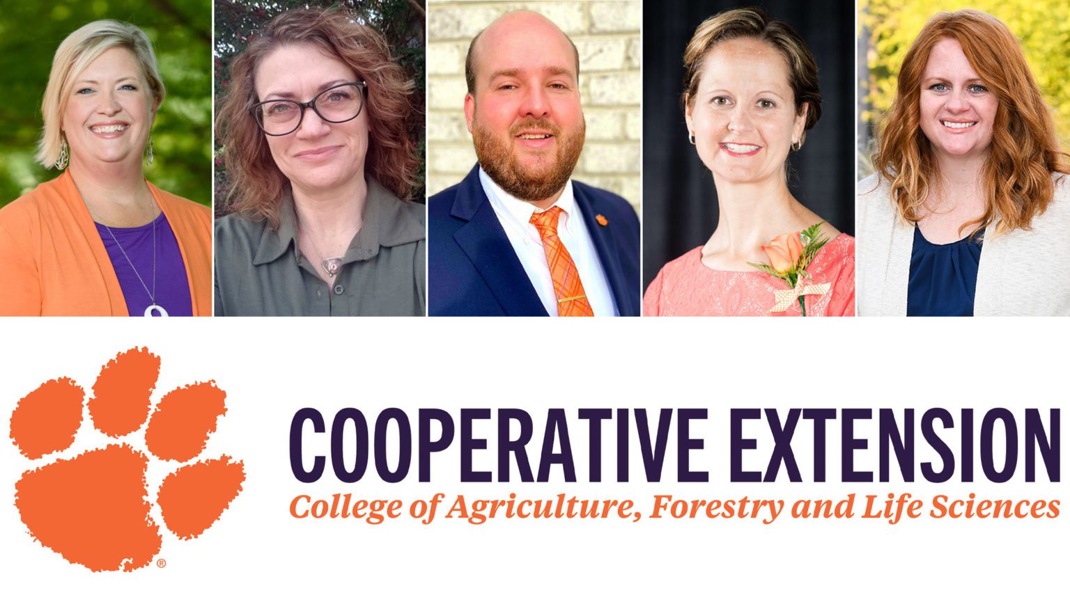 Clemson Extension agents honored on national stage for local impact ...