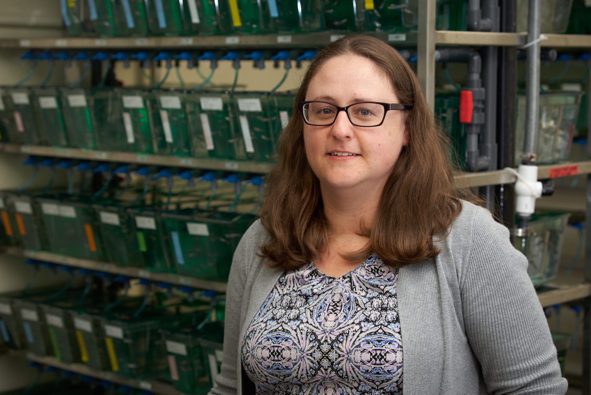 Research could lead to precision therapies for inflammatory diseases ...