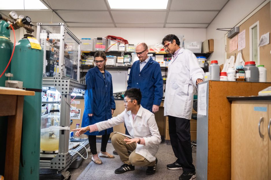 Wastewater could help create an oasis in the food desert | Clemson News