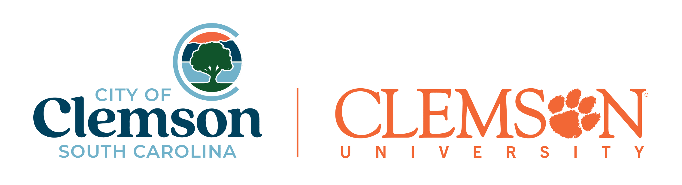 Clemson celebrates second annual International Campus & Community Day ...