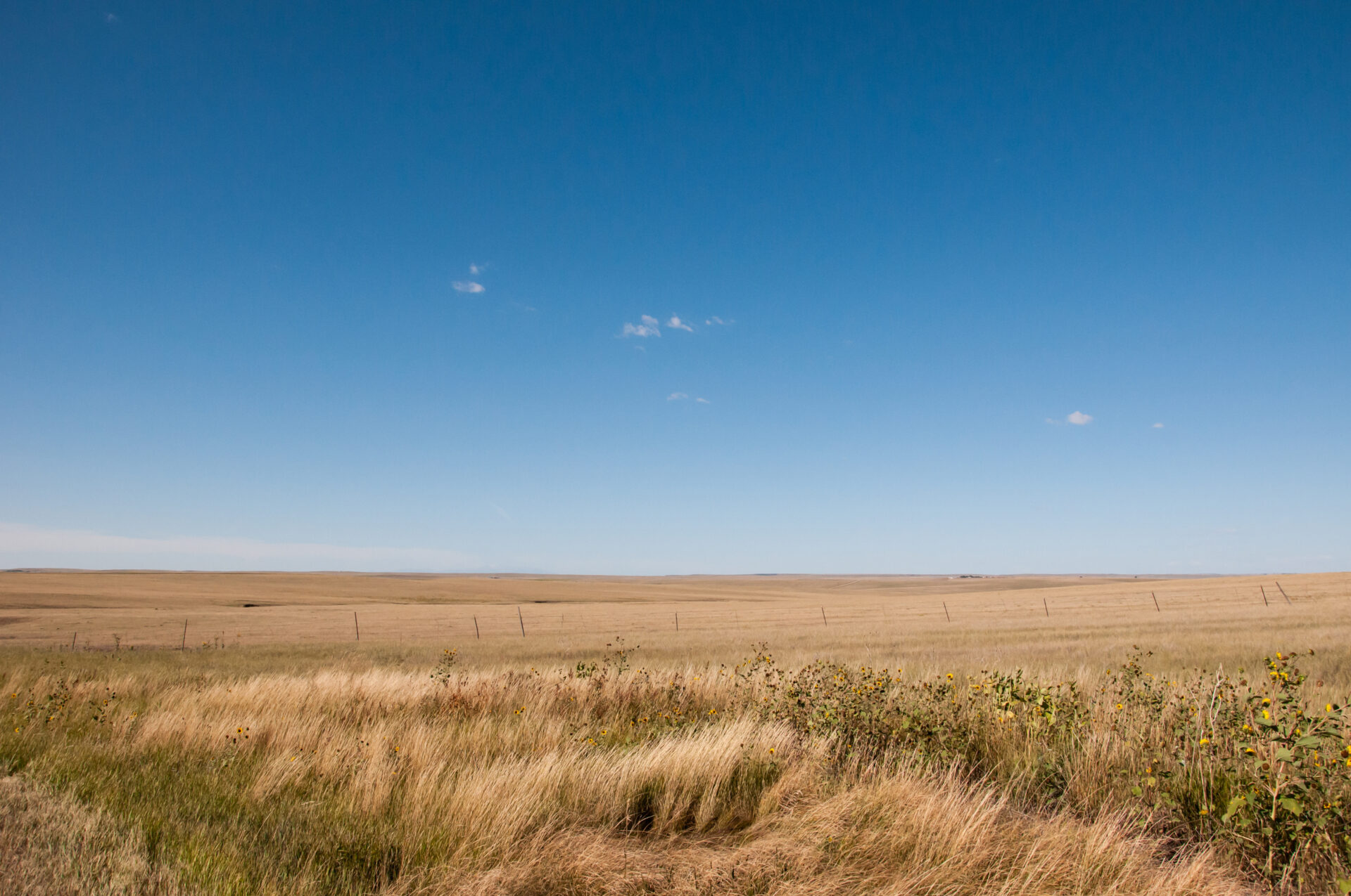 In protecting land for wildlife, size matters – here’s what it takes to ...