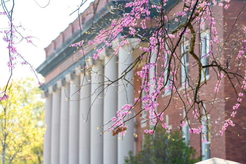 Office of the President Archives | Clemson News