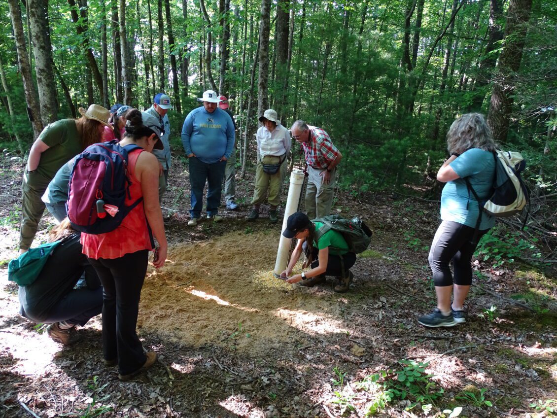 Clemson, Duke Energy partner to teach teachers about wildlife and land ...