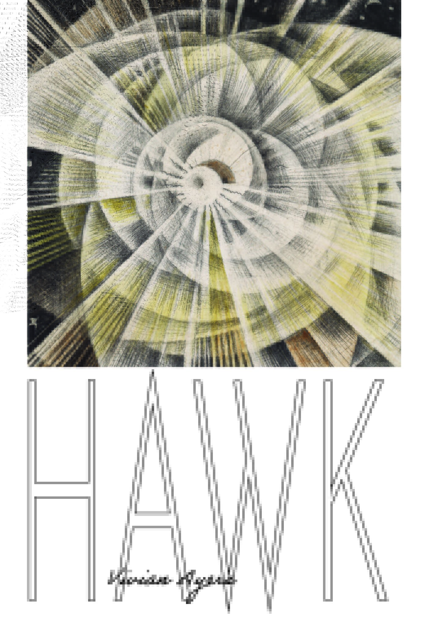 Clemson University Press to publish Vivian Ayers Allen’s book “Hawk ...