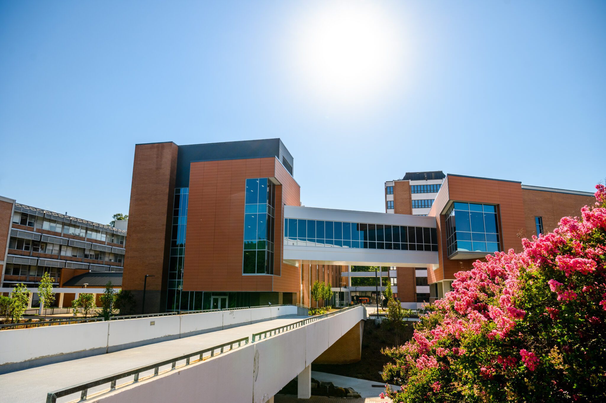 Summer updates on main campus projects: what you need to know | Clemson ...