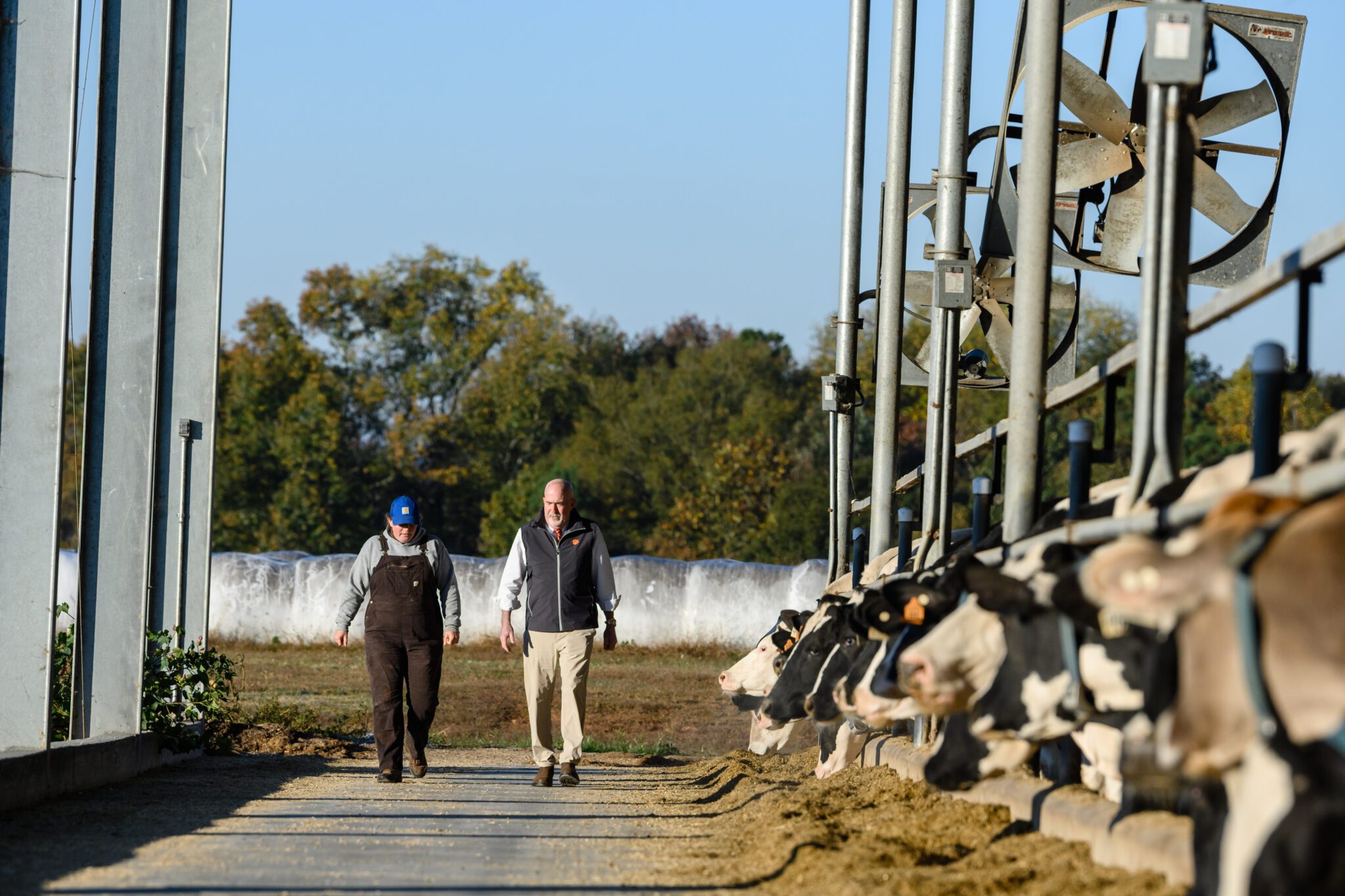 Clemson names Steven Marks founding dean for the College of Veterinary ...
