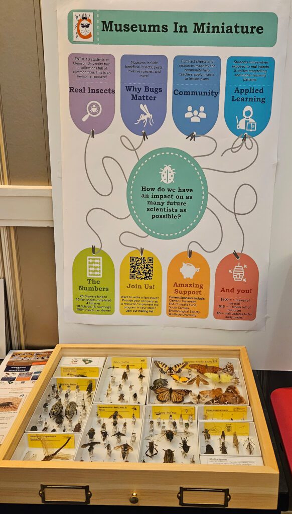 Miniature museums show how bugs are ‘cool’ | Clemson News