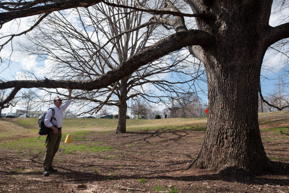 Keeping it green: Broad University collaboration cares for Clemson's ...