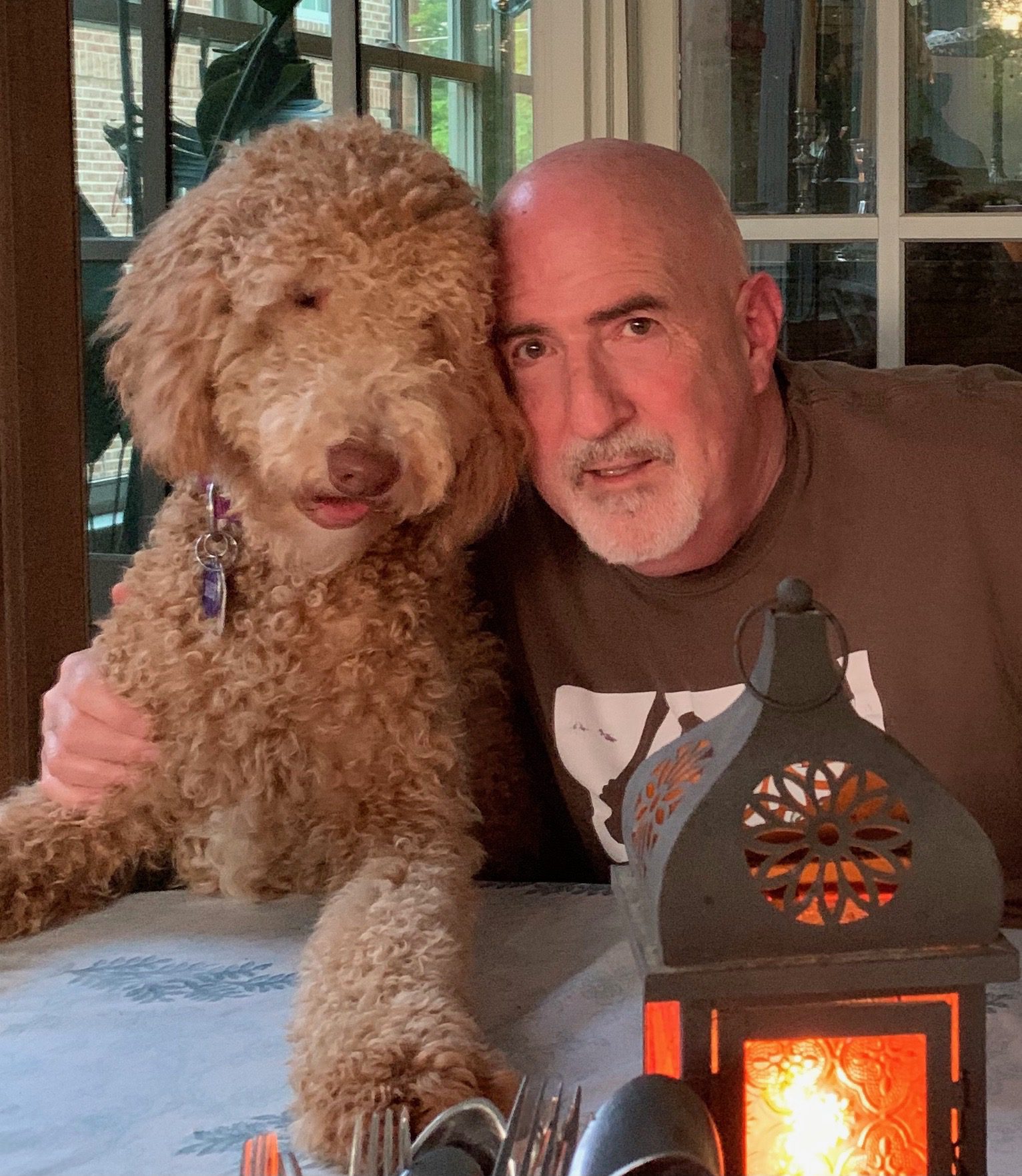 Pet Poison Awareness: Helpful Insight from Dr. Steven Marks, Dean of ...