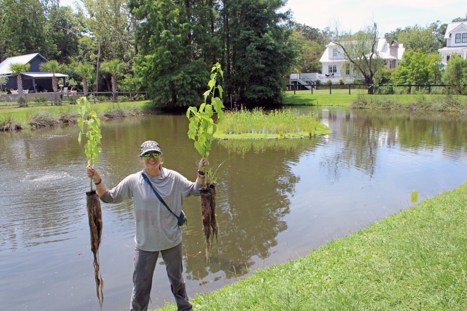 Floating wetlands bring beauty, benefits to South Carolina ponds | Clemson News