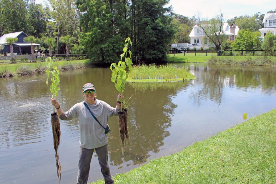 Floating wetlands bring beauty, benefits to South Carolina ponds ...