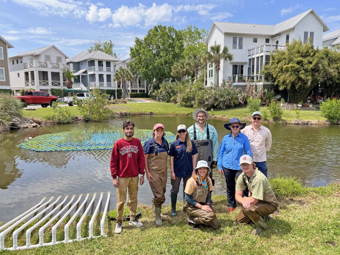 Floating wetlands bring beauty, benefits to South Carolina ponds ...