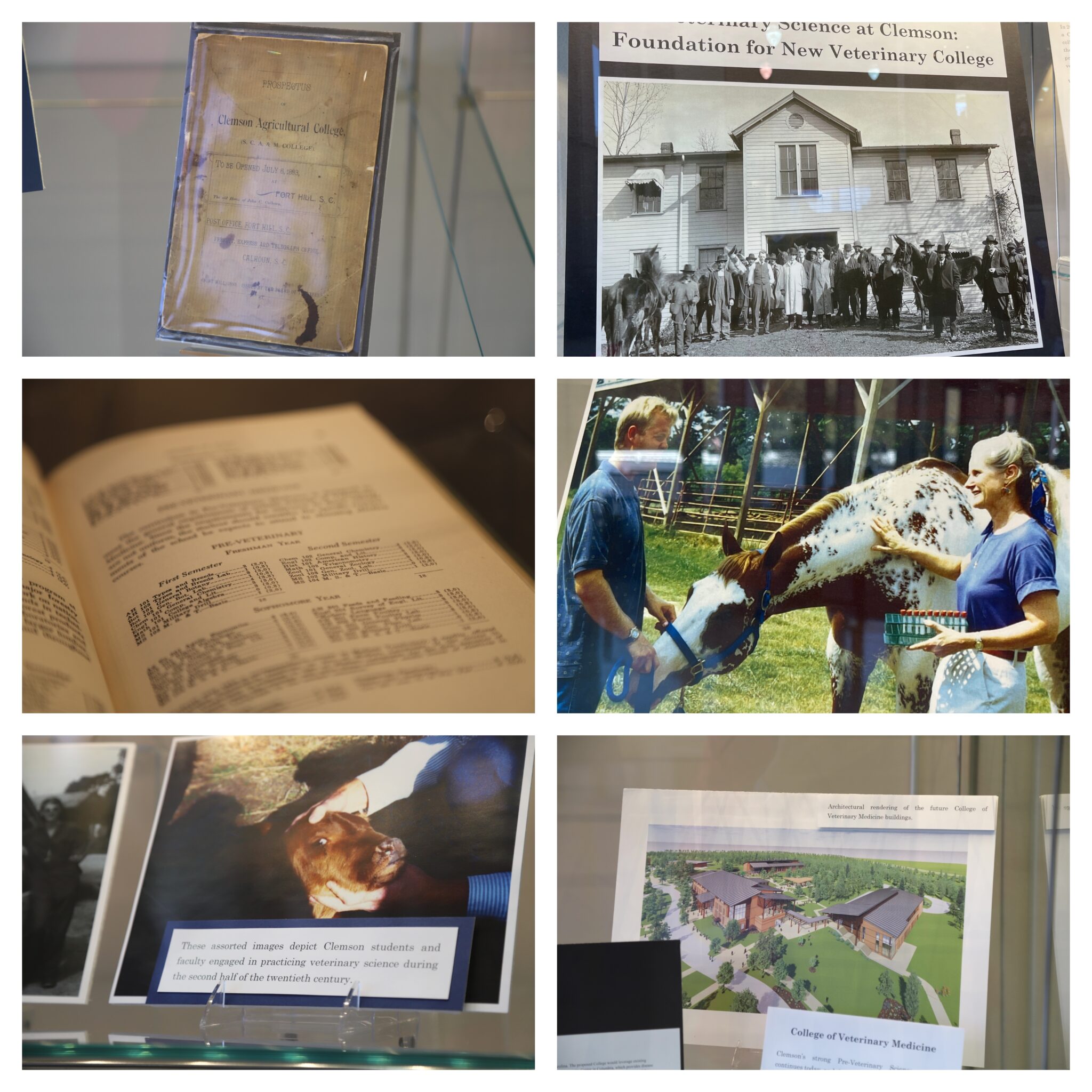 Exploring the History of Veterinary Medicine at Clemson University ...