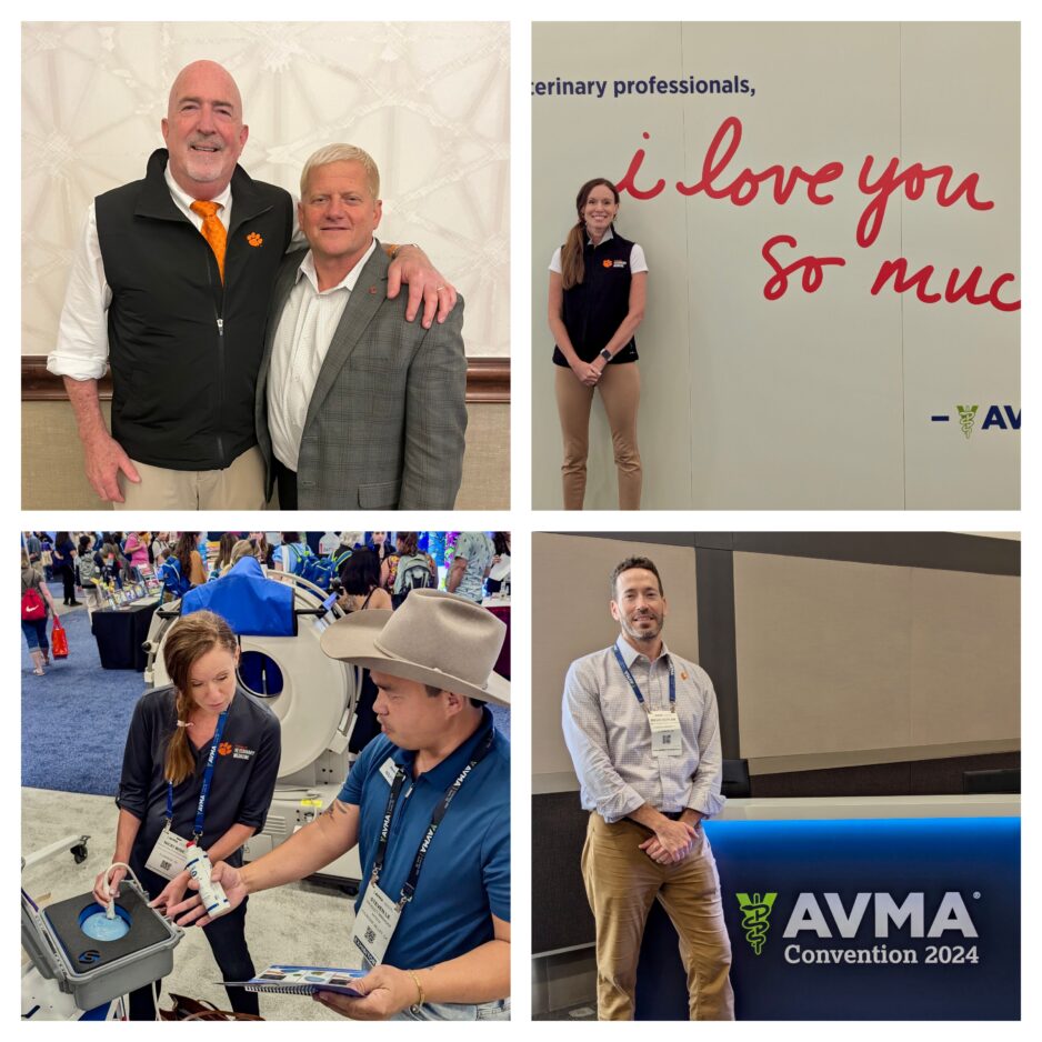 Making Connections | Clemson News