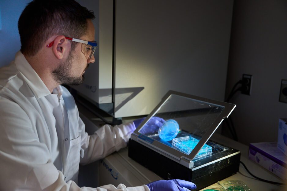 How three Clemson scientists are using the revolutionary gene-editing ...