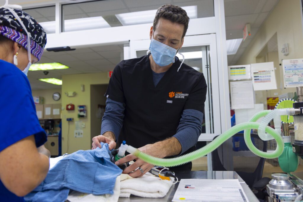 Community Connections | Clemson News