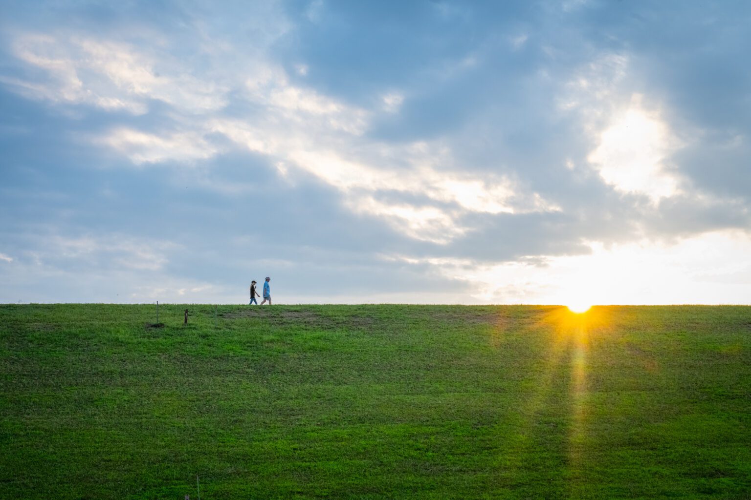 Clemson Libraries Archives | Clemson News