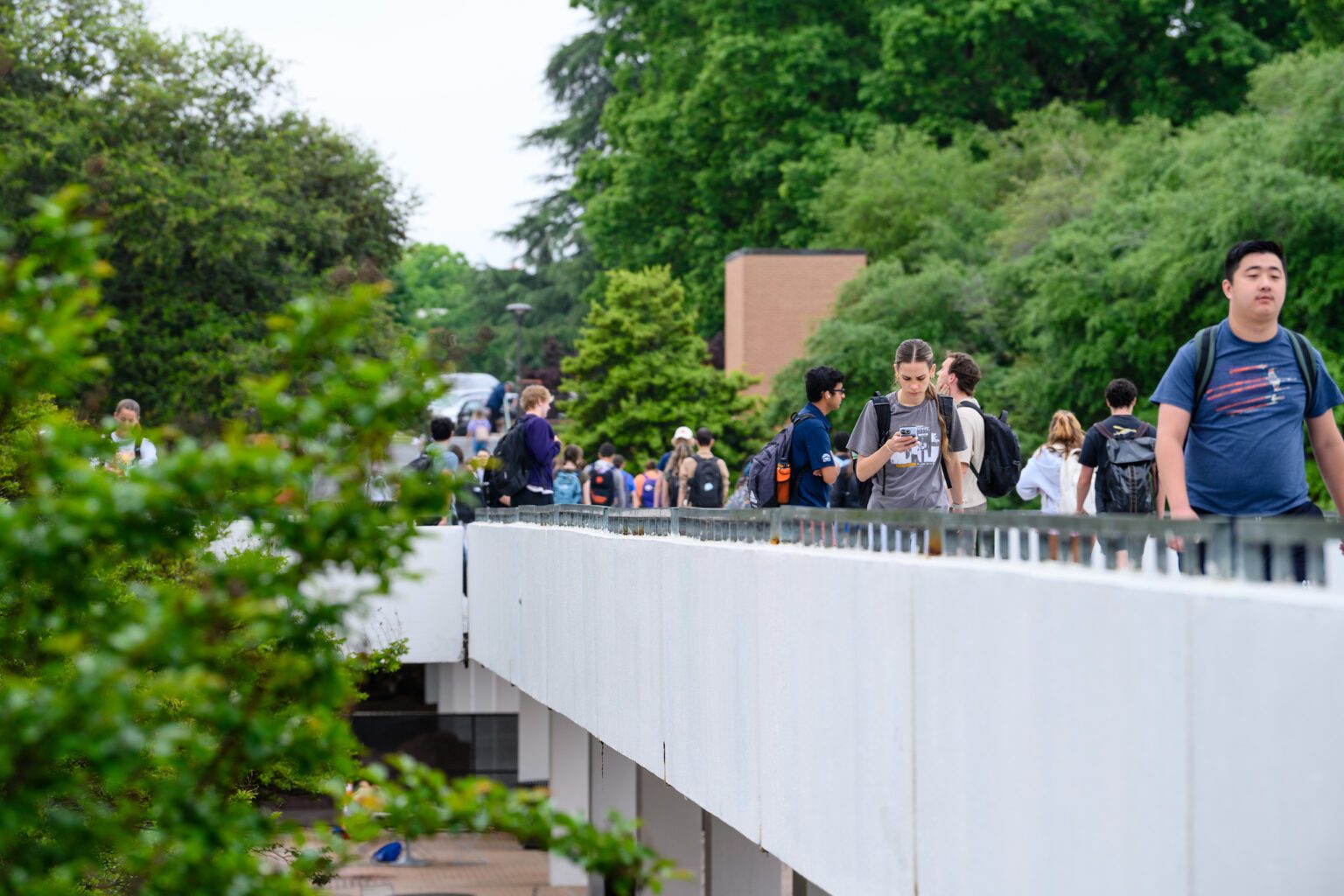 Fall of 2024 President’s List | Clemson News