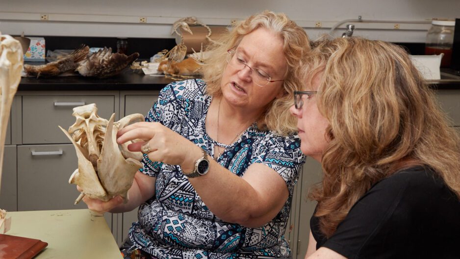 Meet five women in science with Clemson ties who are making a ...