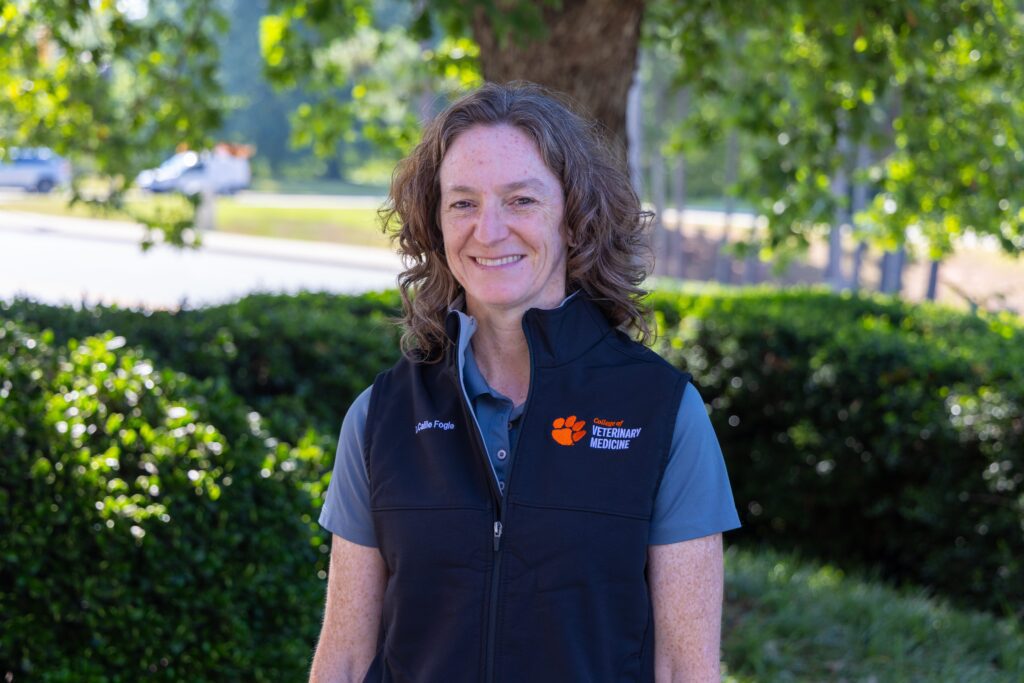 Meet the Team: Callie Fogle, DVM | Clemson News