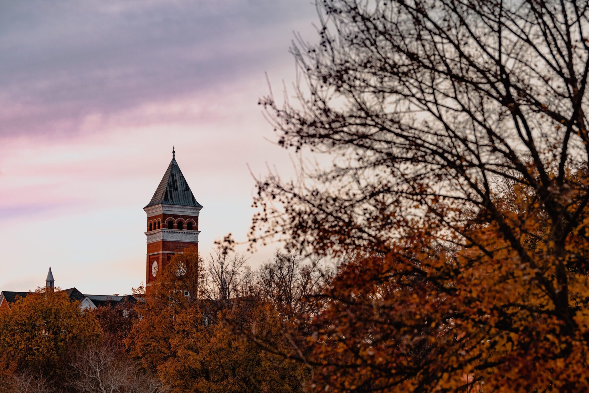 Real-time parking availability now live in Tigers Commute app, website ...