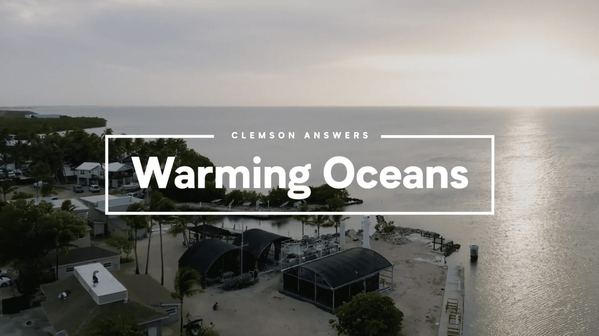 Ocean Temperature: Are the oceans warming? | Clemson News
