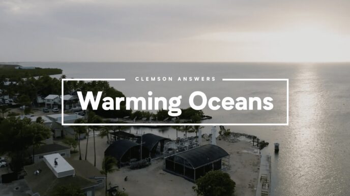 Ocean Temperature: Are the oceans warming? | Clemson News