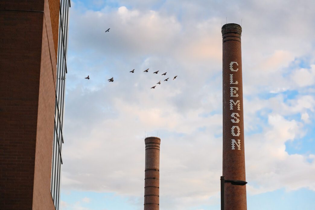 Open Enrollment 2025 is underway! | Clemson News