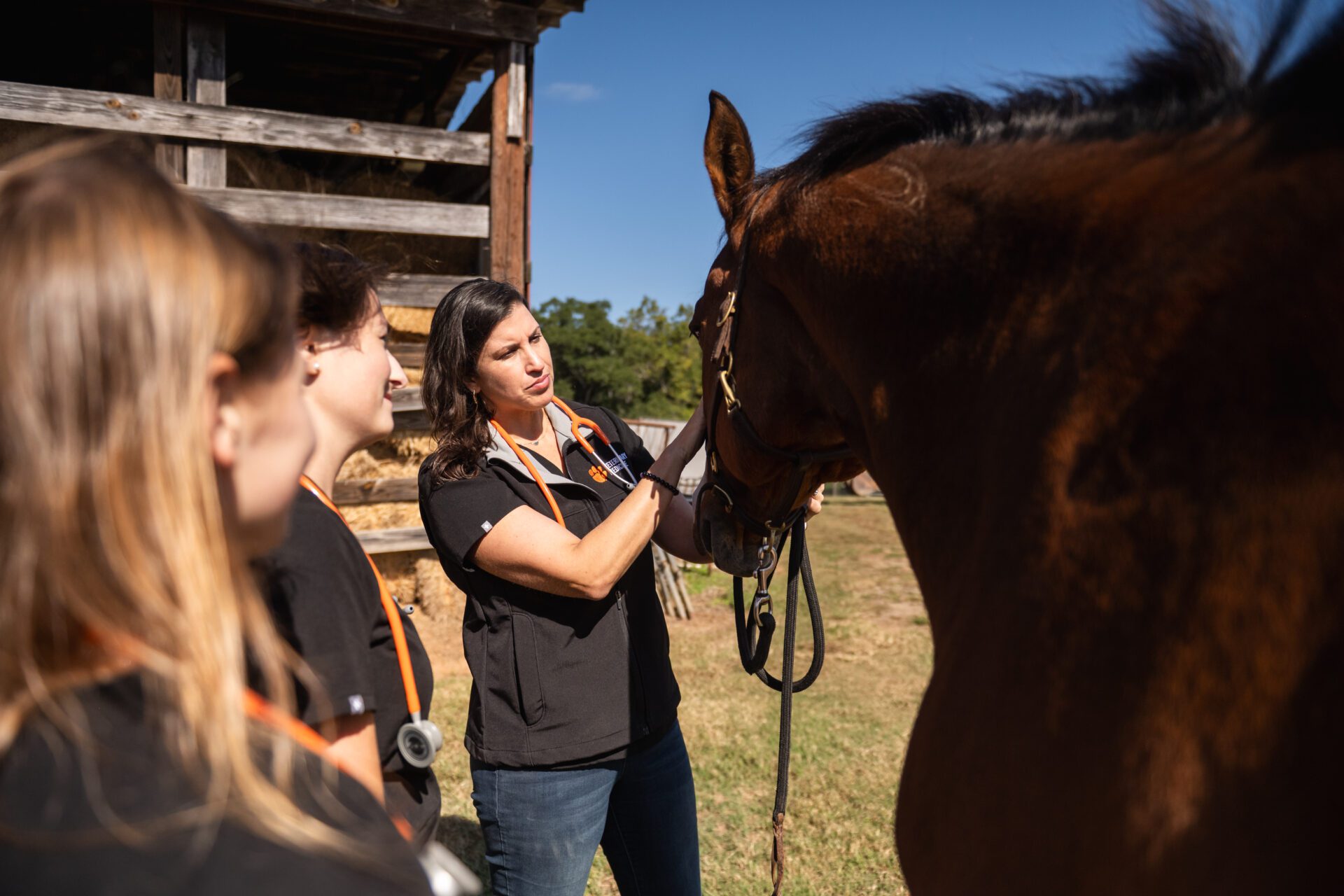 Bound by care | Clemson News