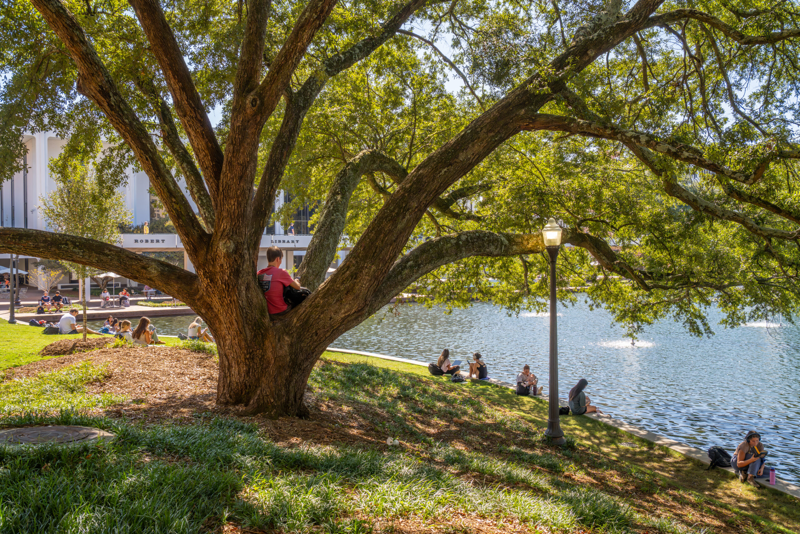 Elevate Well-Being: Rooted in wellness — one answer is outdoors ...
