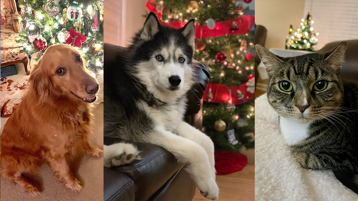 Don Quattlebaum donates $16.5 million to support the Harvey S. Peeler ...