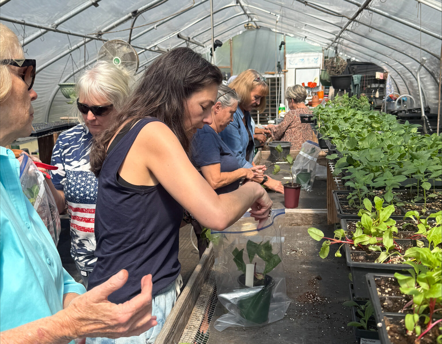 Get soil tested at Clemson Ag Service Lab | Clemson News
