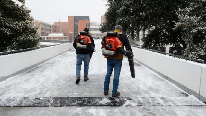Clemson scientists pioneer breakthroughs in cotton transformation and ...