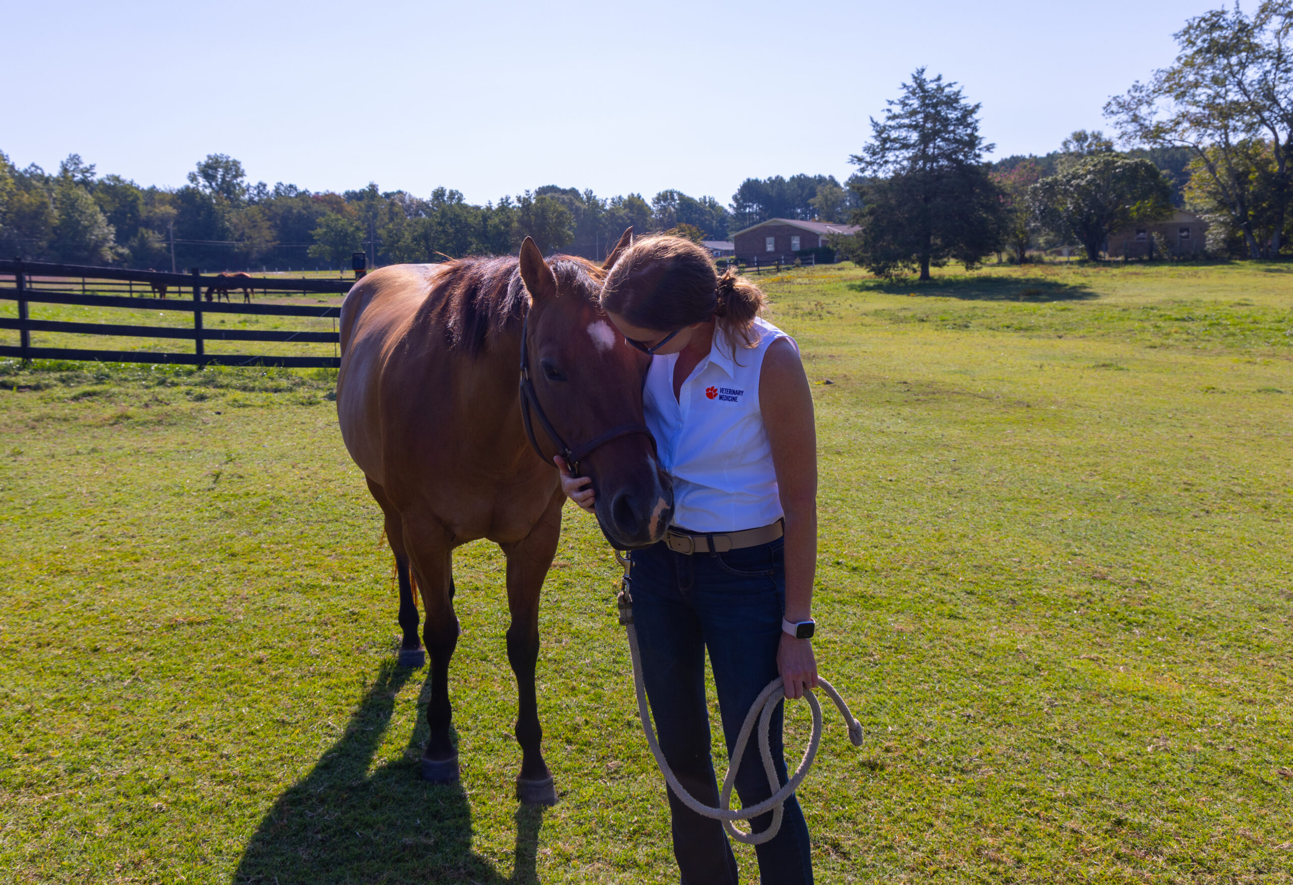 Clemson’s Harvey S. Peeler Jr. College of Veterinary Medicine Opens ...